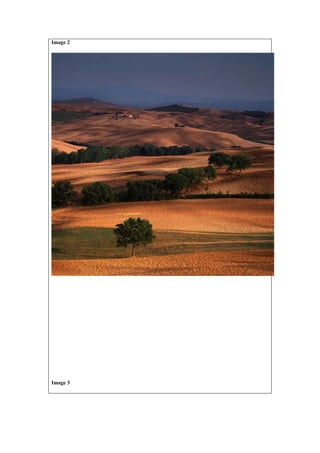 Task 1 Landscape | PDF