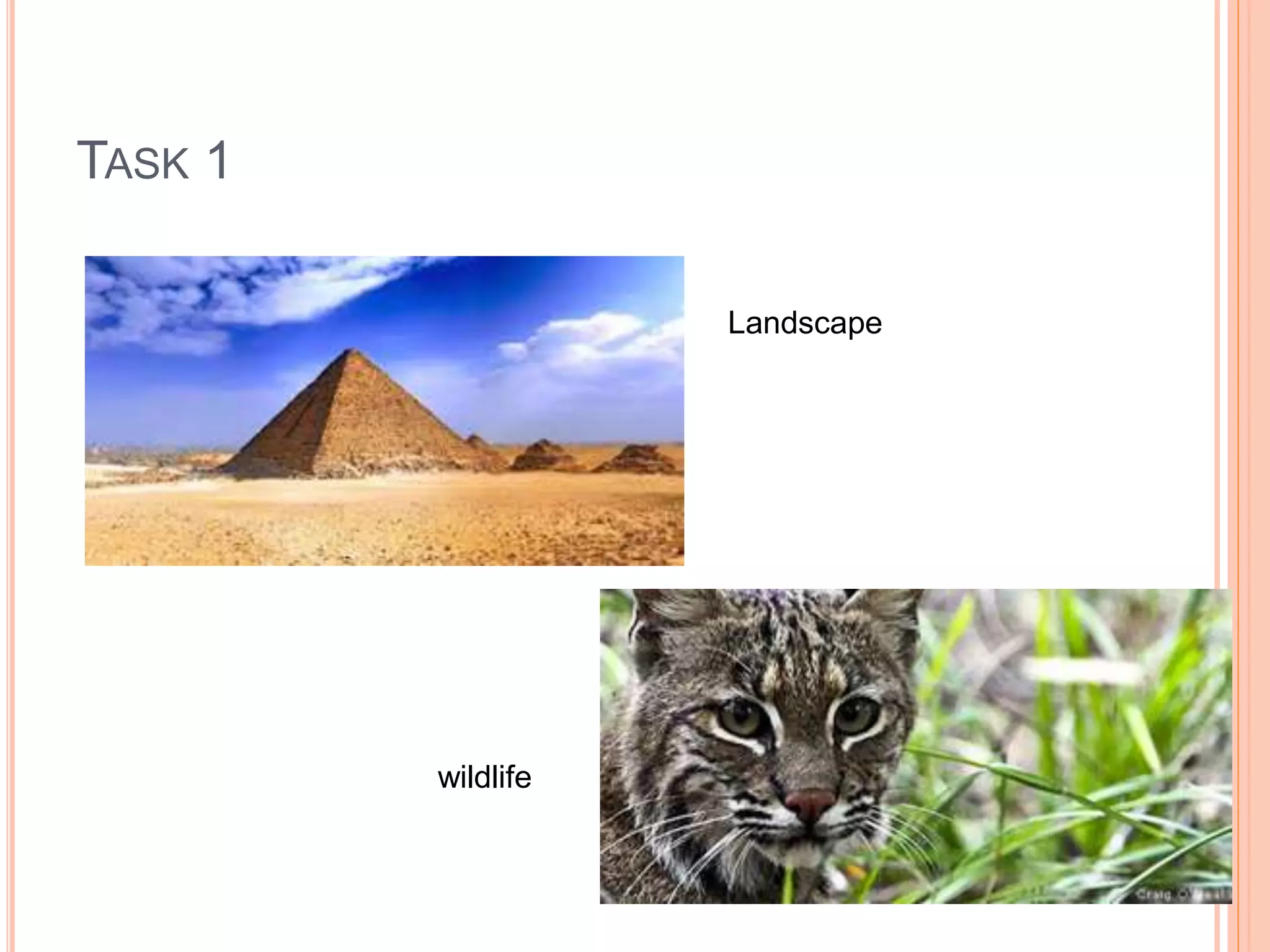 Task 1 3 76 j47643ju764 | PPTX