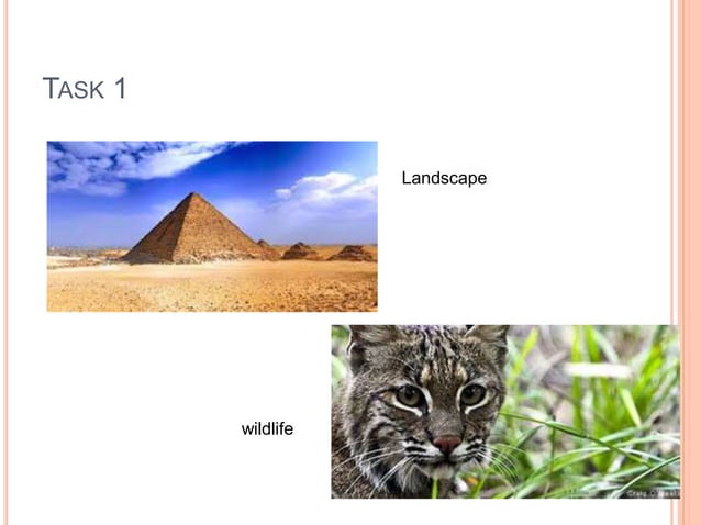 Task 1 3 76 j47643ju764 | PPTX