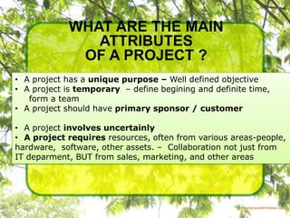 Task 1 what is a project - a139066 | PPT