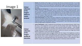Task 14 - Image Evaluation.pptx