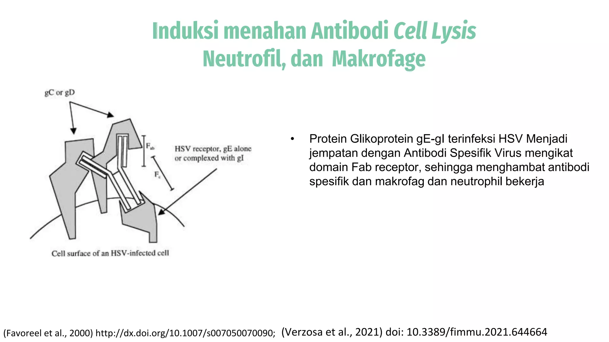 Task 1 Immunity Evasion Herpresvirus.pptx