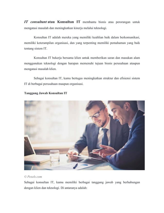 Task 1 pengantar bisnis informatika | PDF