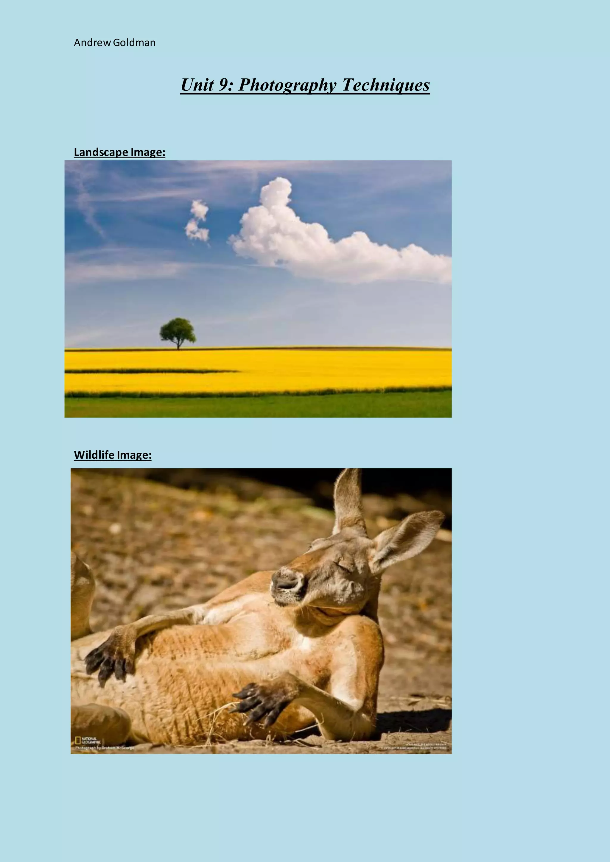 Unit 9 Photography - Types of Photography | DOCX