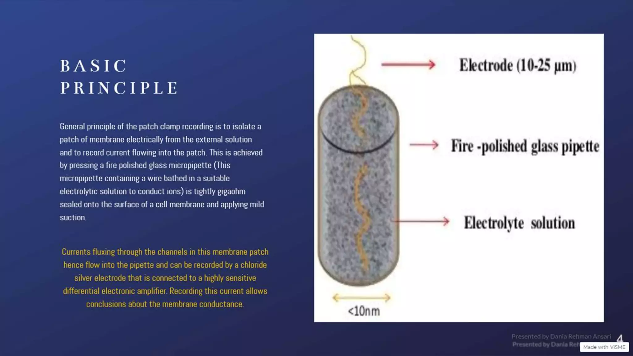 Patch clamp method | PPTX