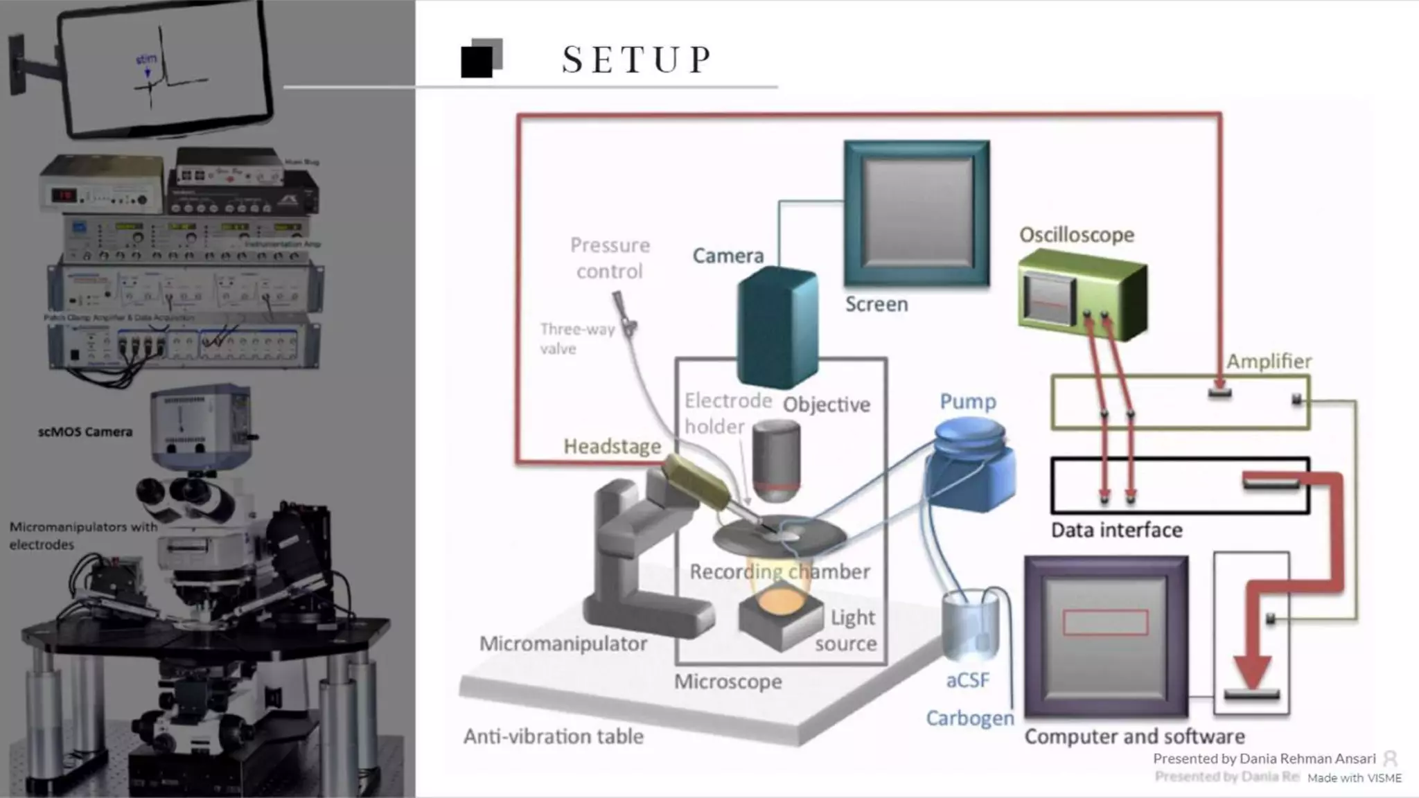 Patch clamp method | PPTX