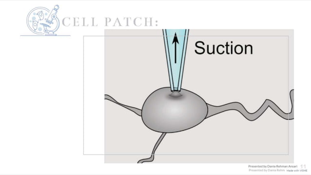 Patch clamp method | PPTX