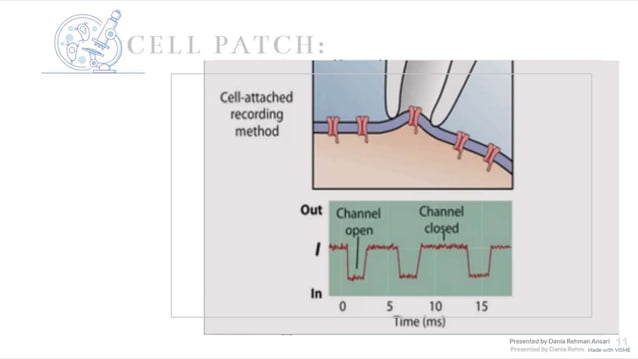 Patch clamp method | PPTX