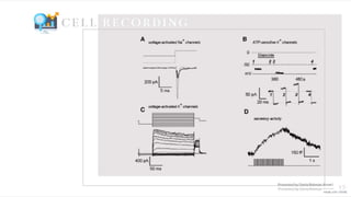 Patch clamp method | PPTX
