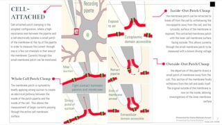 Patch clamp method | PPTX