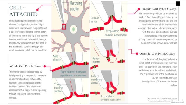 Patch clamp method | PPTX