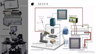Patch clamp method | PPTX