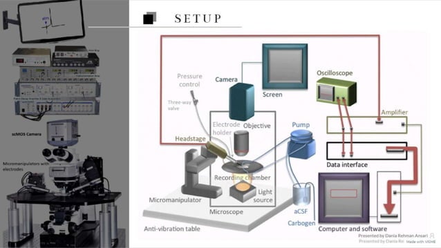 Patch clamp method | PPTX