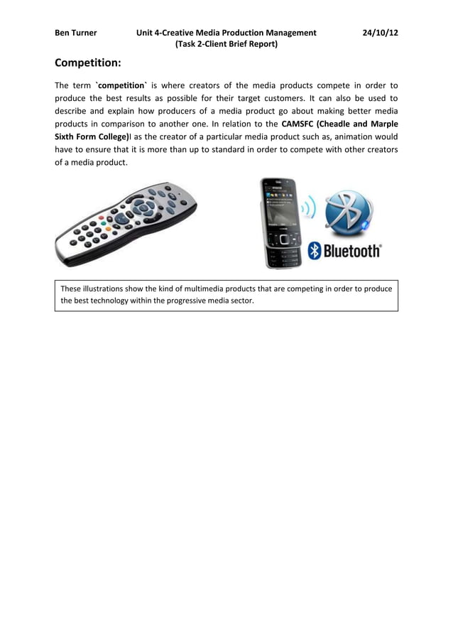 Task 2 client brief report | PDF