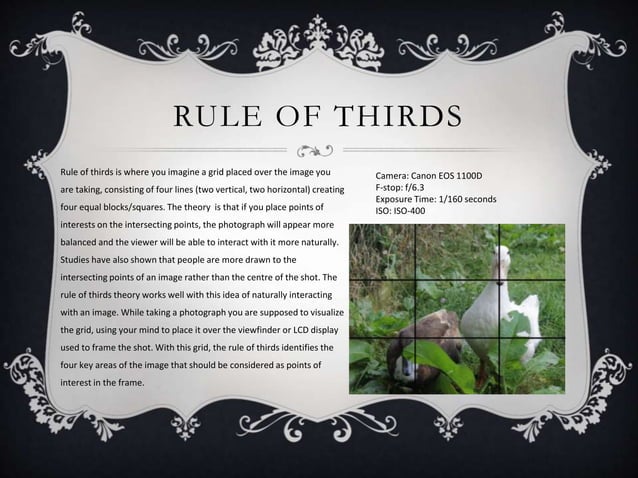 Task 2 photography terminology work sheet | PPT