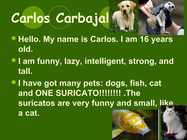 Task 2 revised | PPT