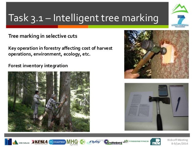 Task 3.1 intelligent tree marking (by cnr)
