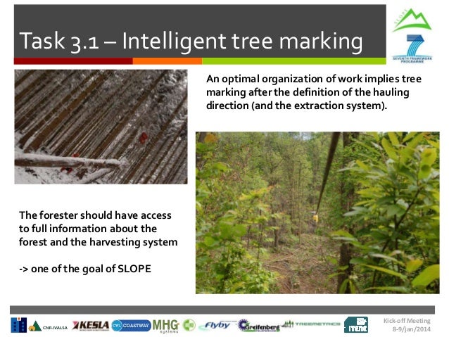 Task 3.1 intelligent tree marking (by cnr)