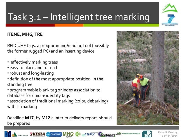 Task 3.1 intelligent tree marking (by cnr)
