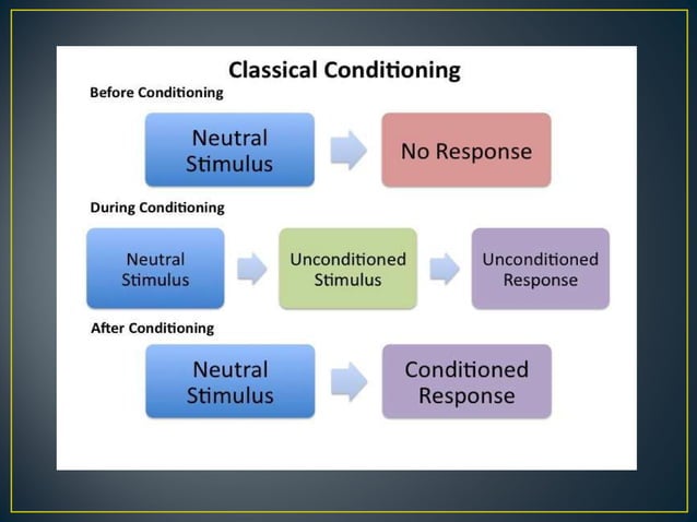 John watson & behaviourism | PPT