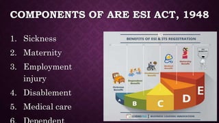 ESI ACT-1948 | PPTX