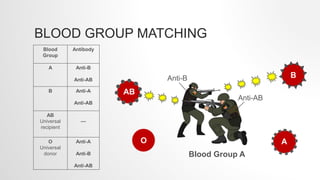 Transplantation Matching | PPT