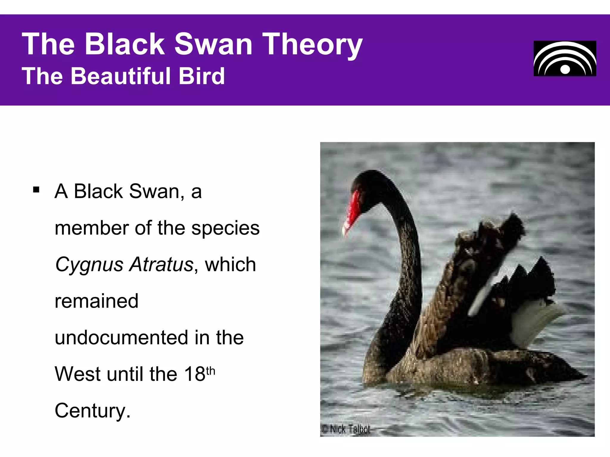 The Black Swan Theory | PPT