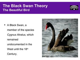 The Black Swan Theory | PPT
