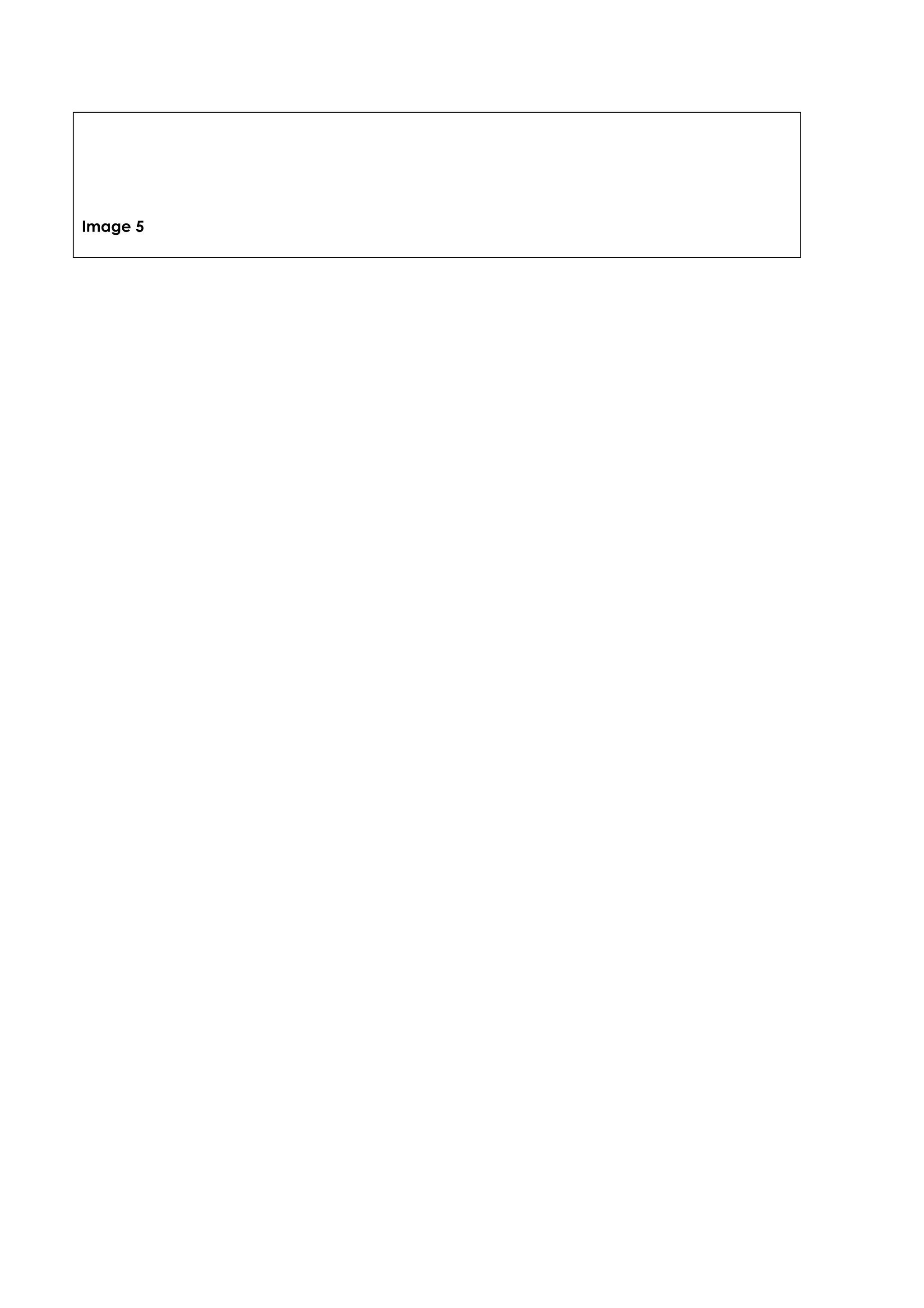 Task 4 final images review portrait | DOC