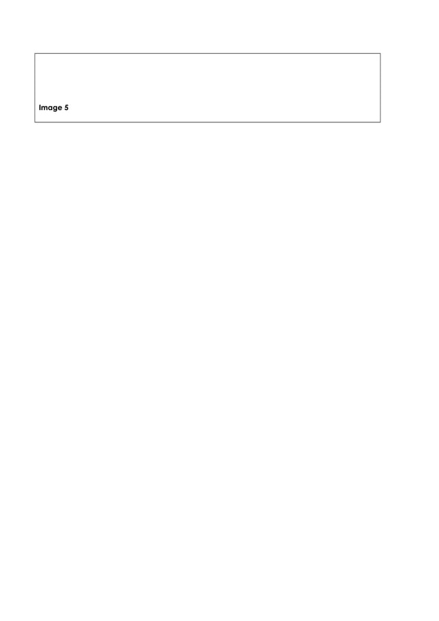 Task 4 final images review portrait | DOC