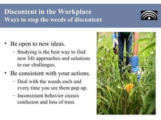 Discontent in the Workplace | PPT