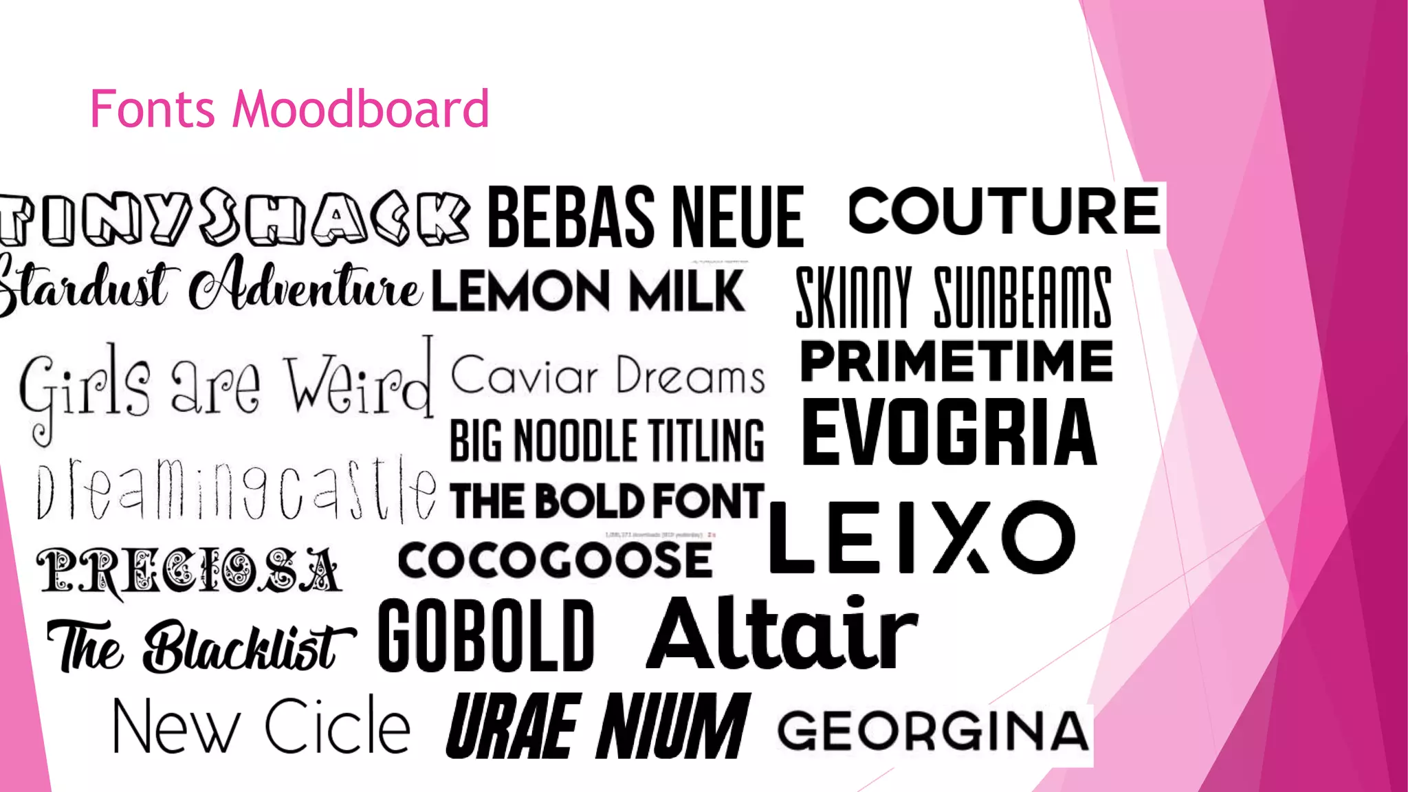 Task 5 social action | PPT