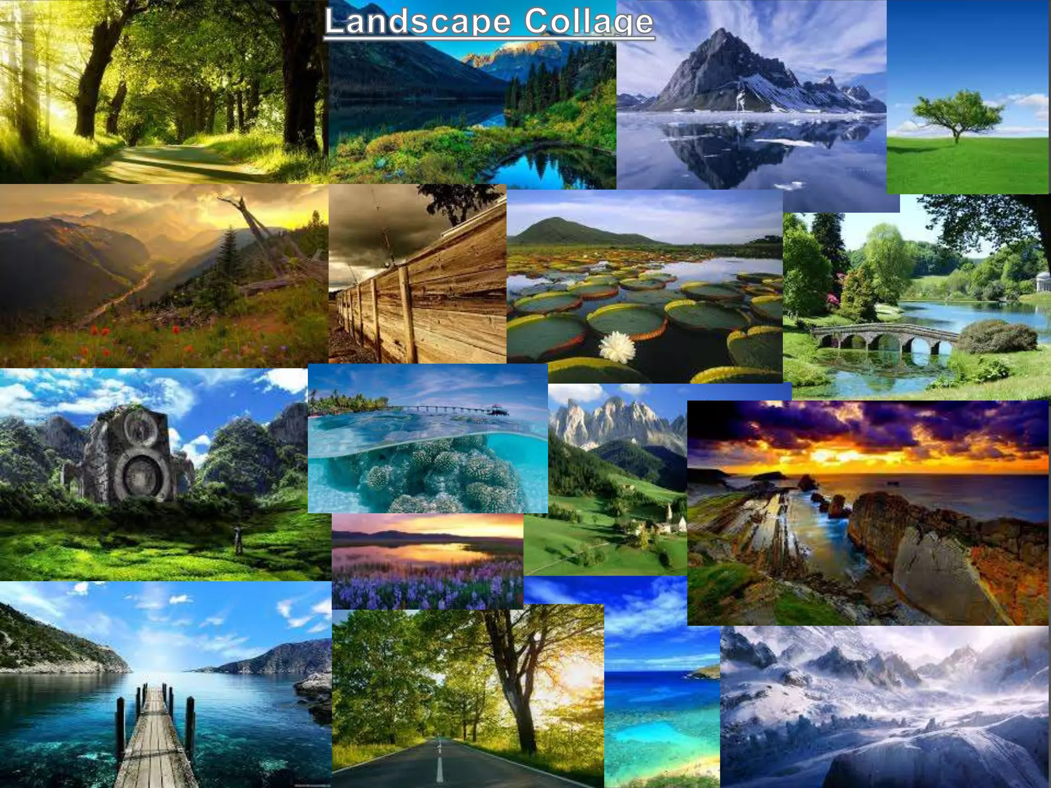 Collage (Macro & Landscape) | PPTX
