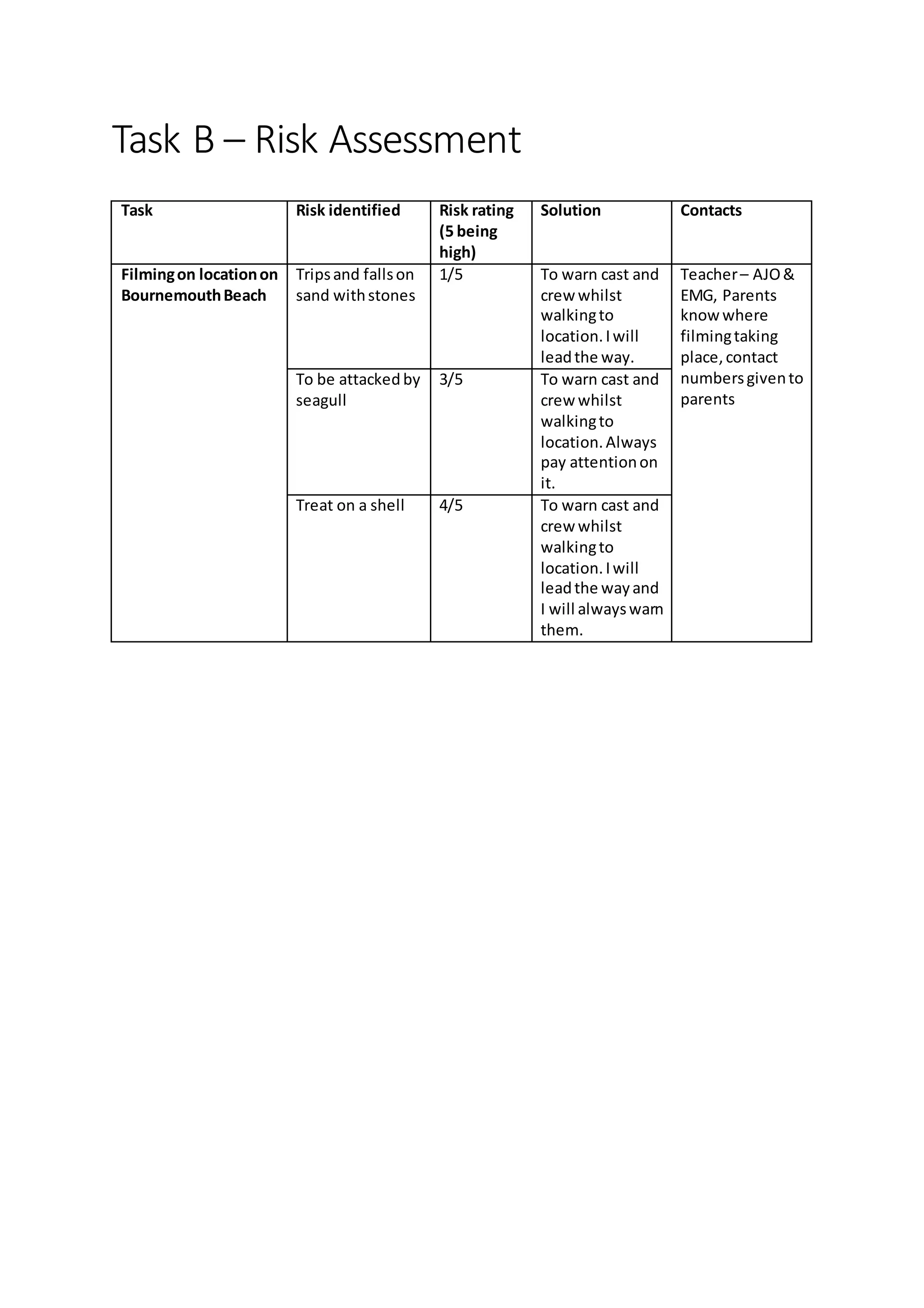 Task b risk assessment | DOCX