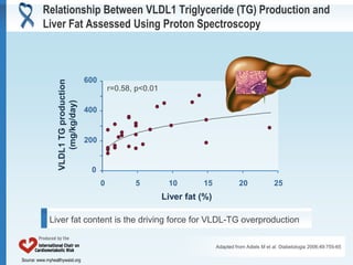 Ectopic Fat: An Important Feature of Intra-Abdominal Obesity in Type 2 ...