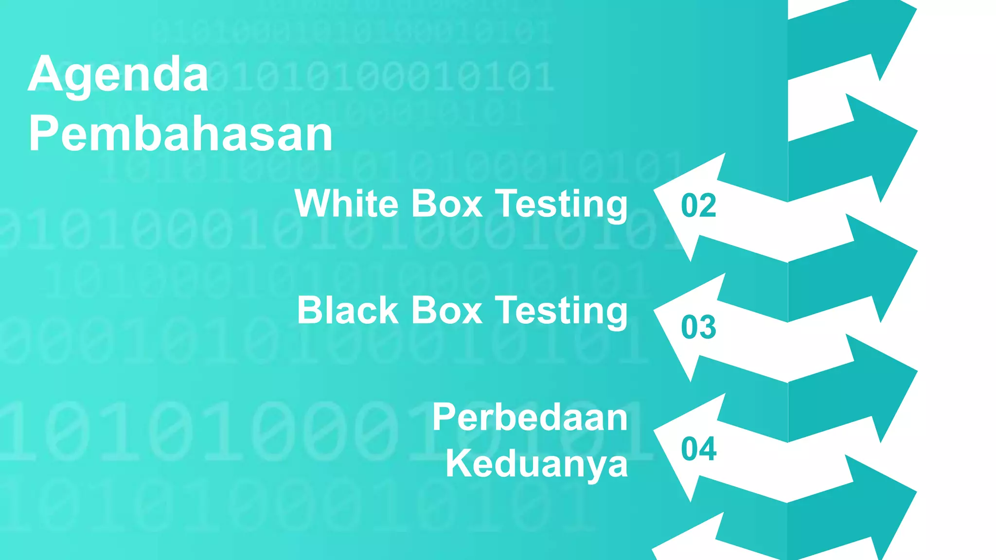 White Box Dan Black Box Testing Pptx