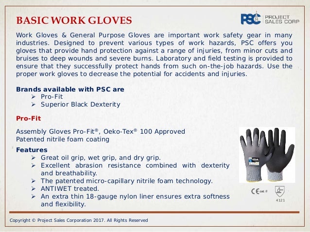 Anatomical Automatic Labeling Manual Dexterity - ourmust
