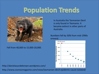 Tasmanian Devil | PPTX