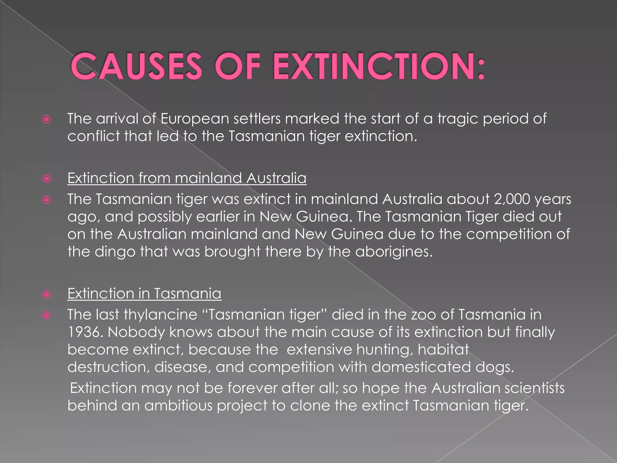 Tasmanian Tiger | PPT