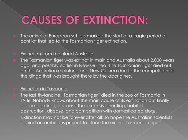 Tasmanian Tiger | PPT