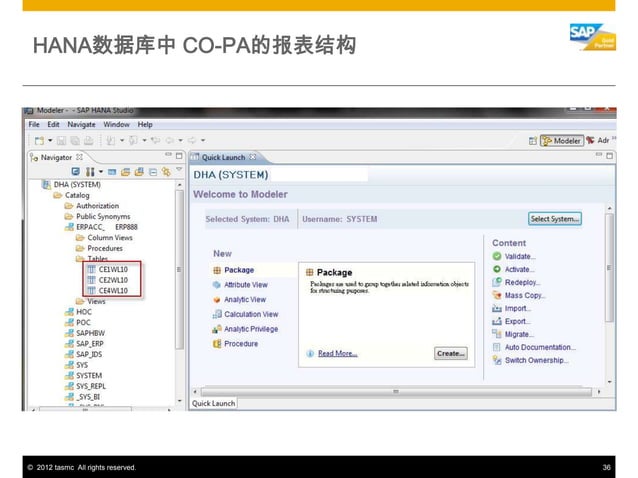 tasmc Mason Liu SAP Teched@Shanghai | PPT