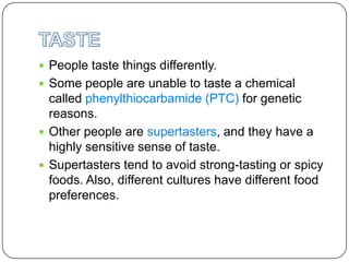 Taste | PPT