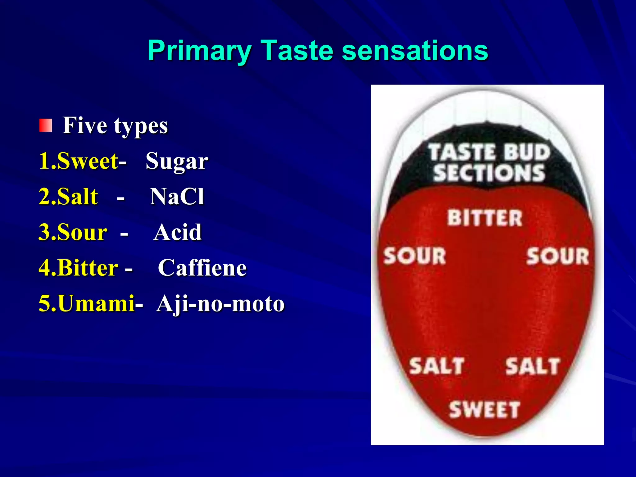 Taste | PDF