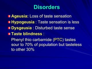 Taste | PDF