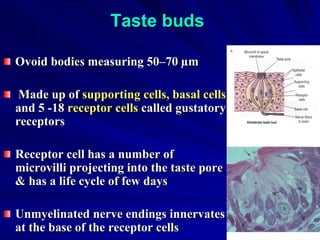 Taste | PDF