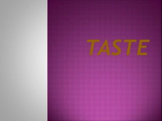Taste | PPTX