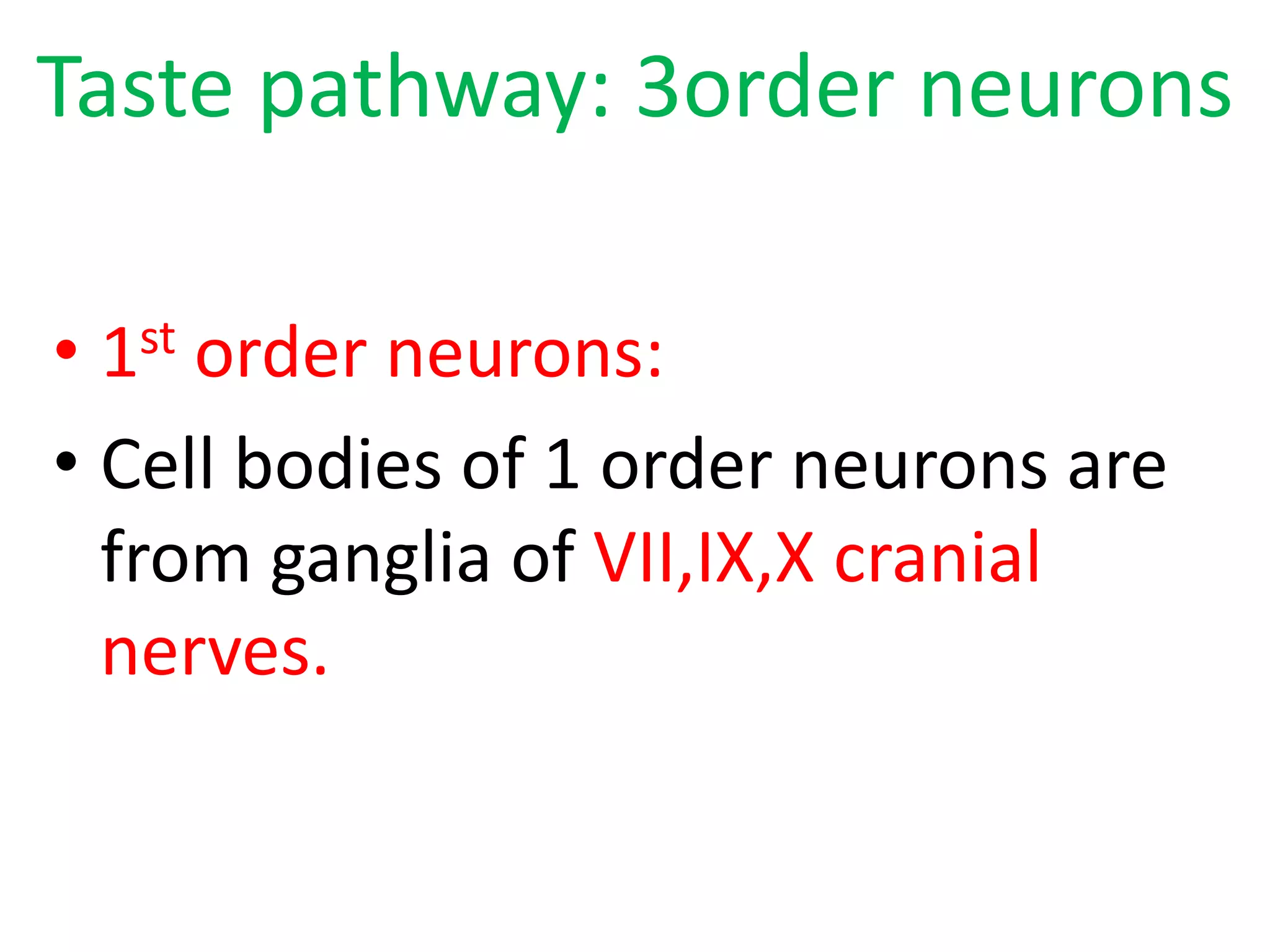 Physiology of Taste | PPTX
