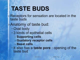 TASTE.pptx