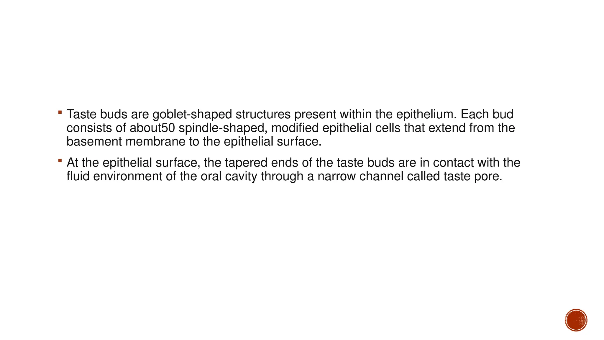 Oral Physiology - The Pathway of Taste.pptx