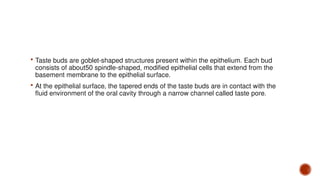 Oral Physiology - The Pathway of Taste.pptx